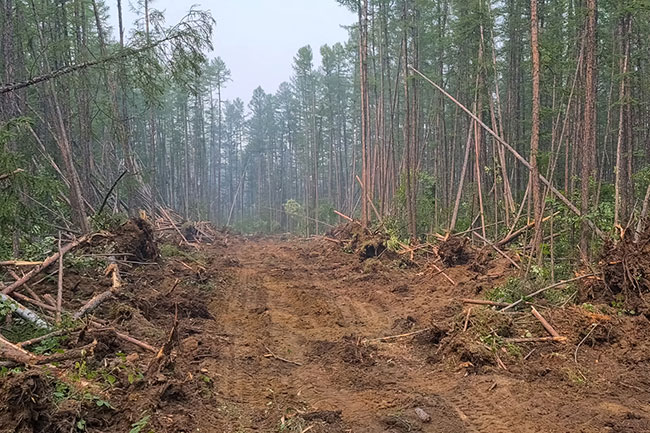 Efficient Land Clearing Helps You Achieve Your Goals Quicker | JC's ...